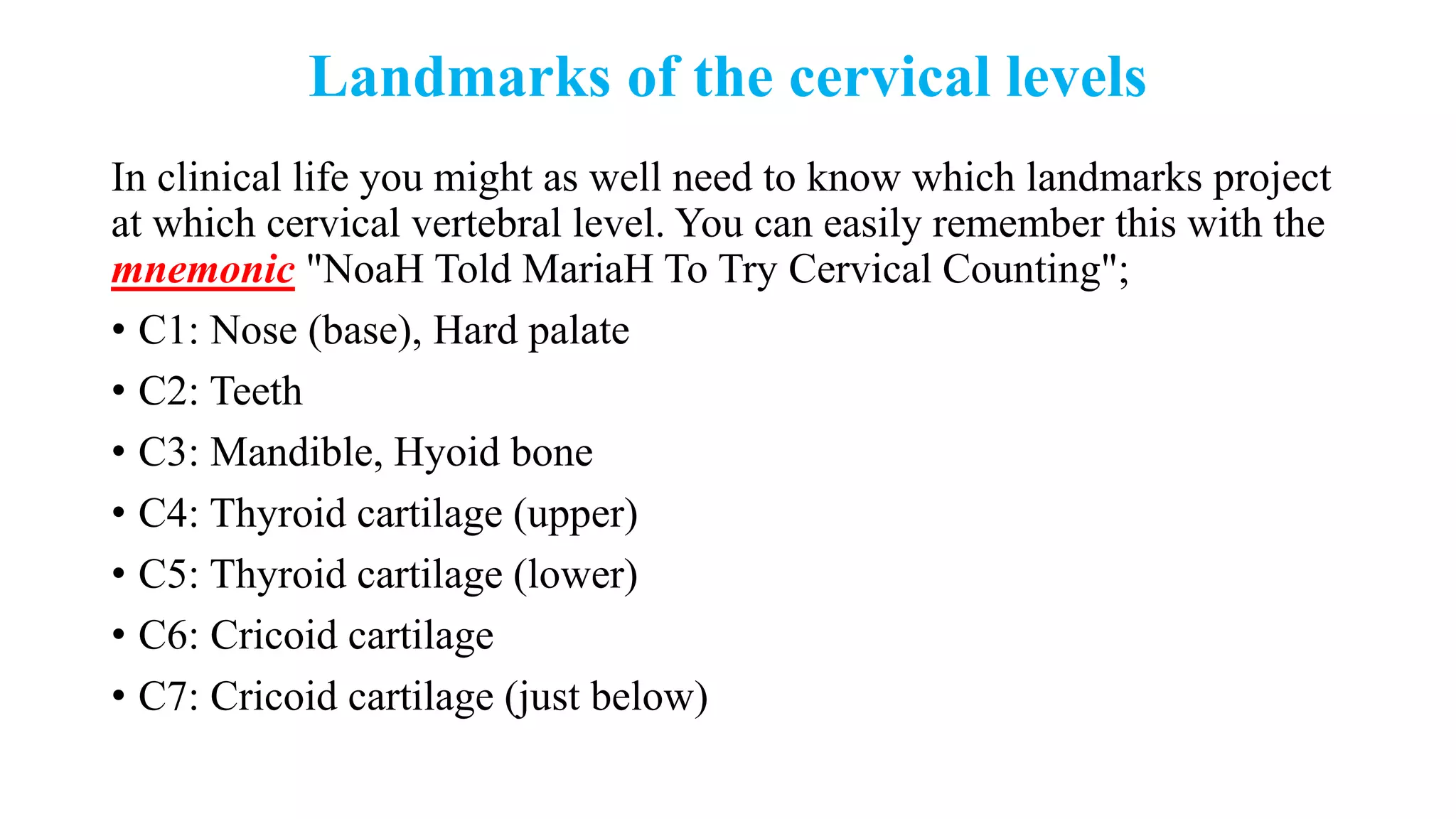 Cervical spine anatomy.pptx