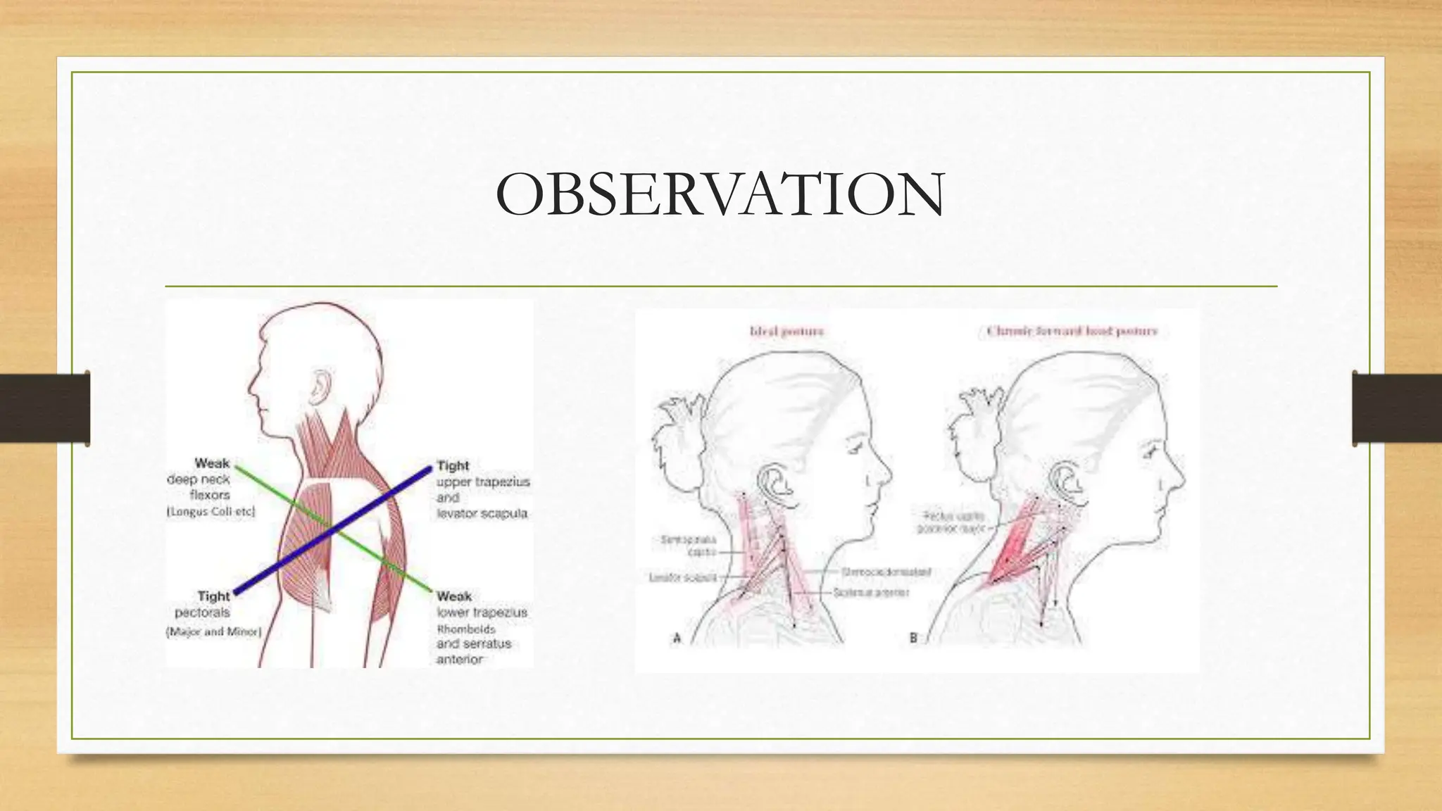 cervical spine assessment. Physiotherapy Assessment | PPTX