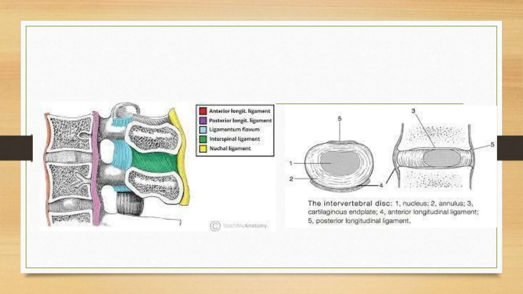 cervical spine assessment. Physiotherapy Assessment | PPTX