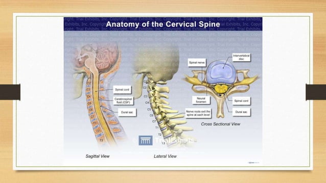 cervical spine assessment. Physiotherapy Assessment | PPTX