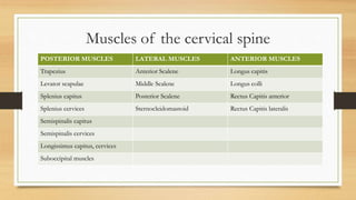 cervical spine assessment. Physiotherapy Assessment | PPTX