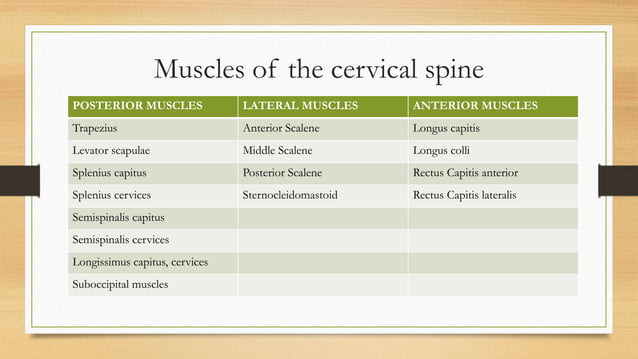 cervical spine assessment. Physiotherapy Assessment | PPTX