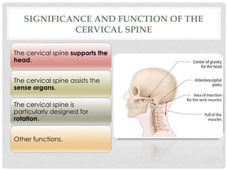 Cervical spine assessment for human 1.pdf