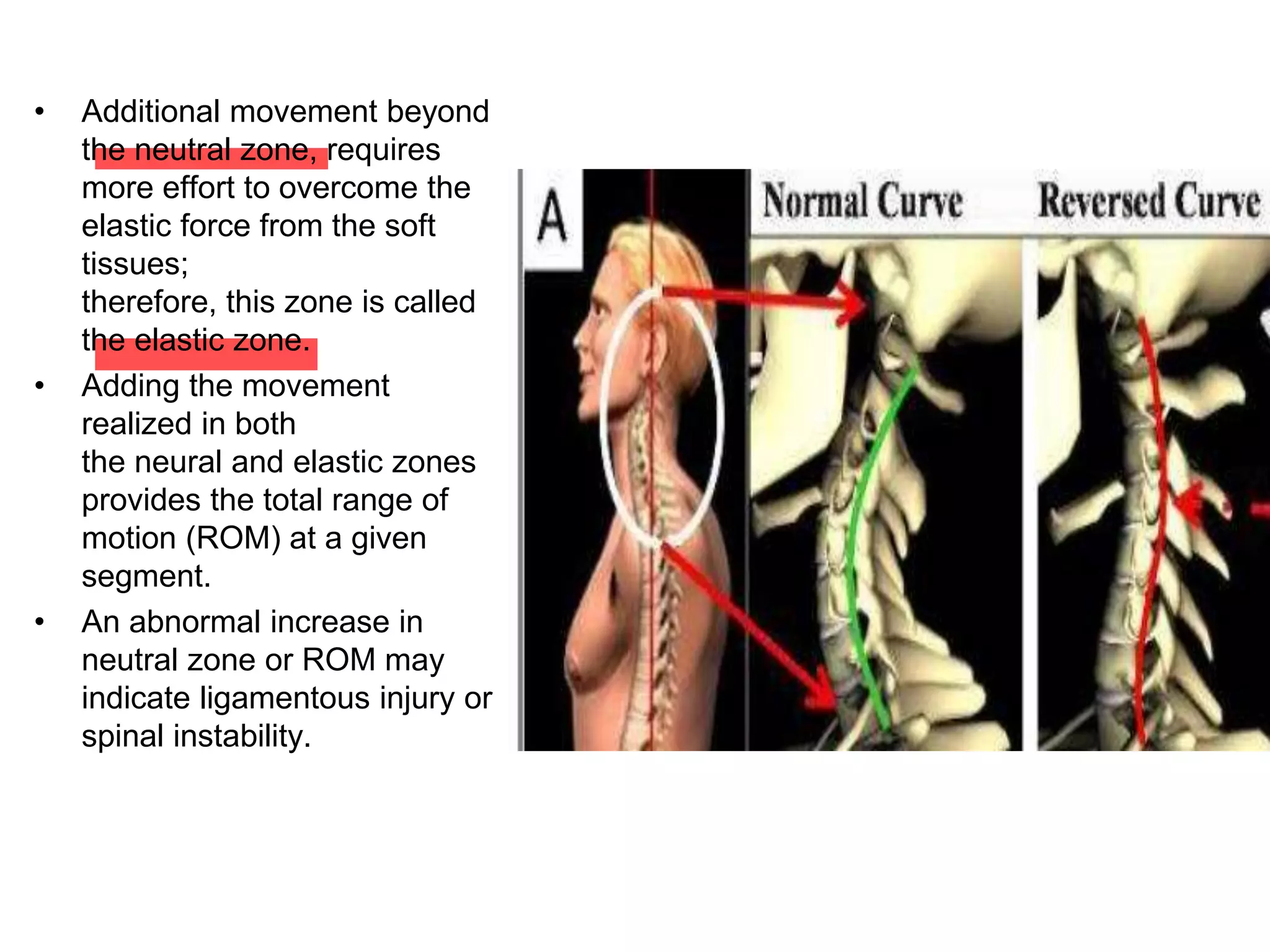 Cervical Spine Deformity 2019 | PPTX
