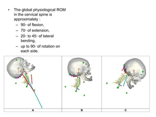 Cervical Spine Deformity 2019 | PPTX | Death, Injury, or Military ...
