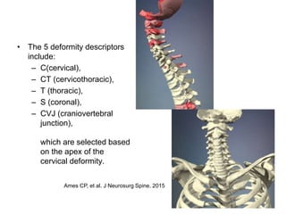 Cervical Spine Deformity 2019 | PPTX