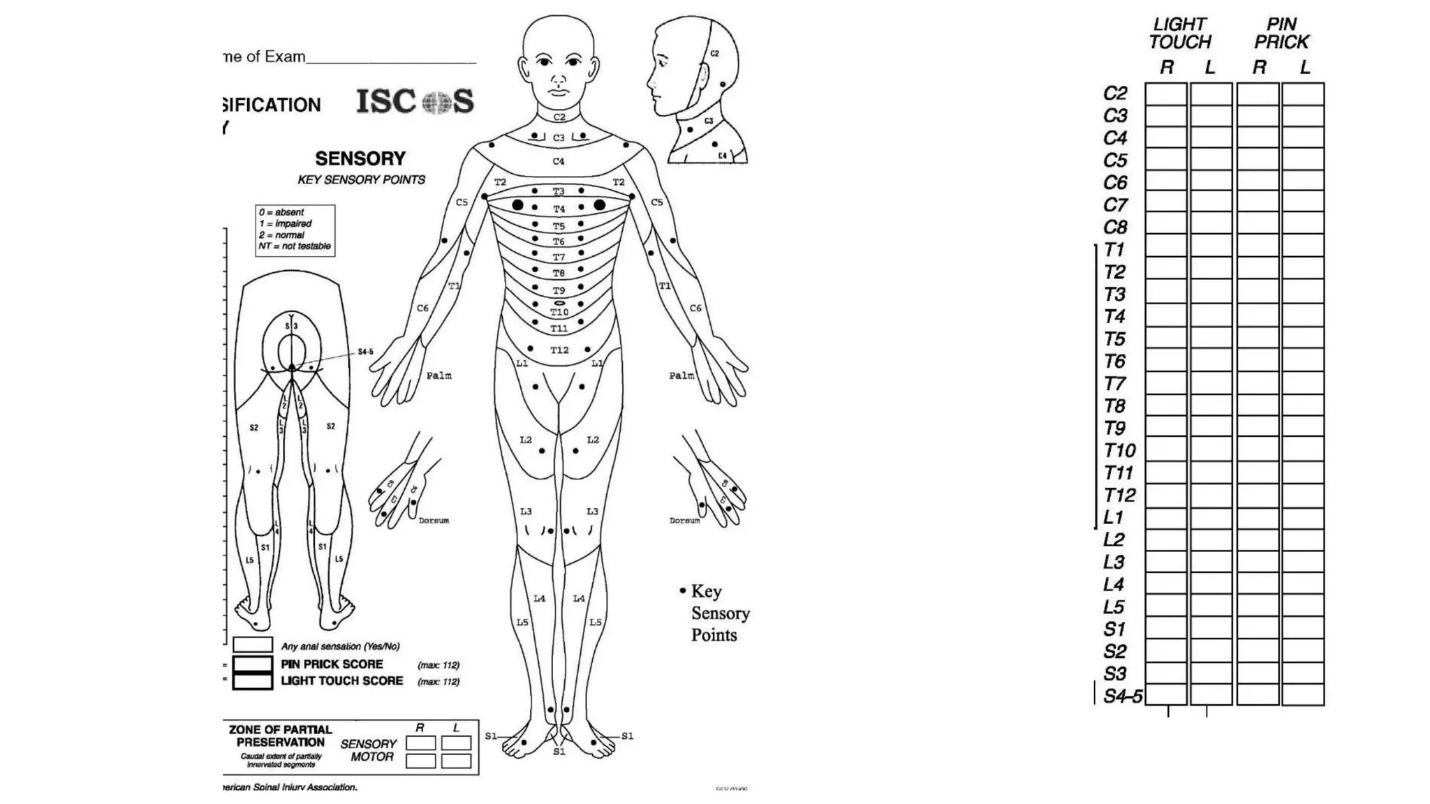 Cervical spine injury | PPTX
