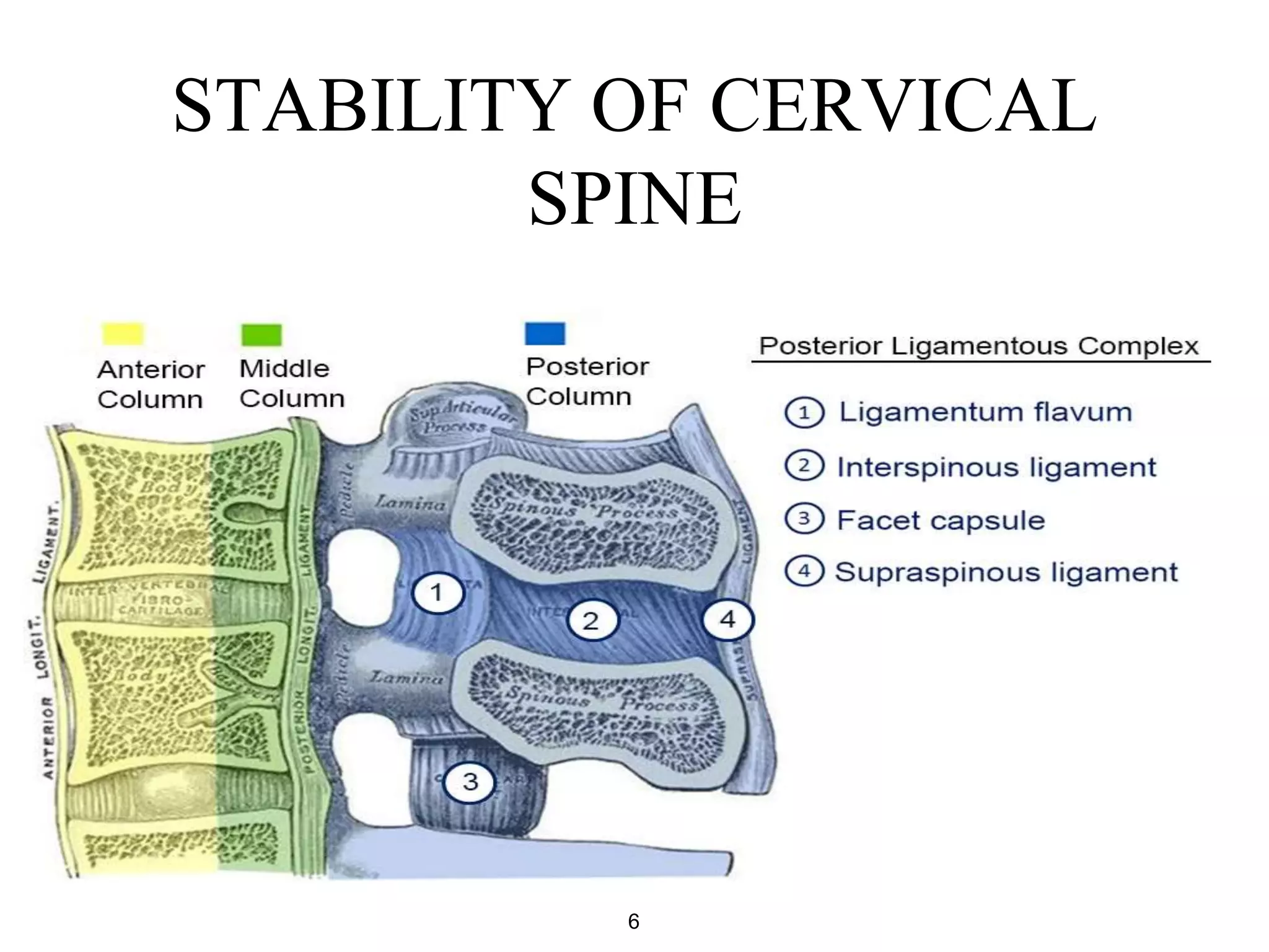 Cervical spine injury | PPTX