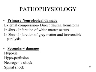 Cervical spine injury | PPTX