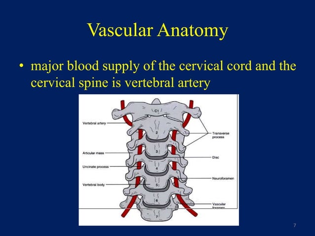 Cervical spine injury antomy and management.pptx