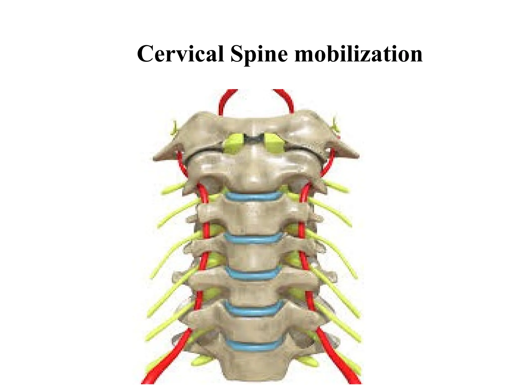 cervical spine mobilization manual therapy .pdf