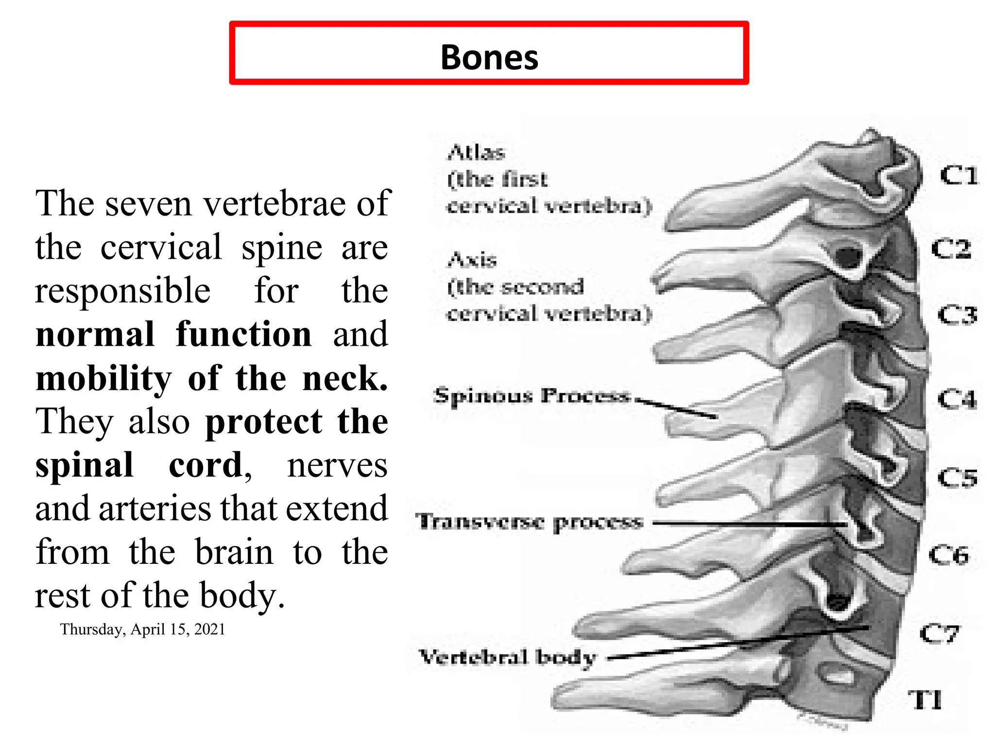 cervical spine mobilization manual therapy .pdf