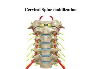 cervical spine mobilization manual therapy .pdf
