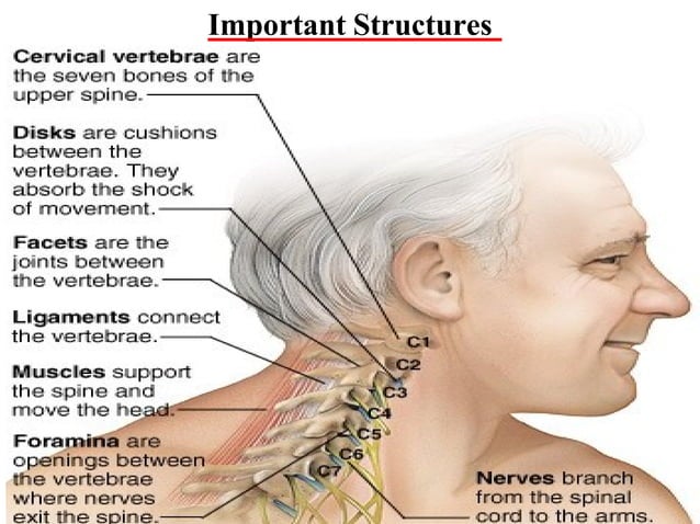 cervical spine mobilization manual therapy .pdf