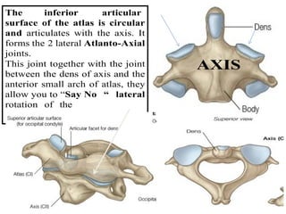 cervical spine mobilization manual therapy .pdf