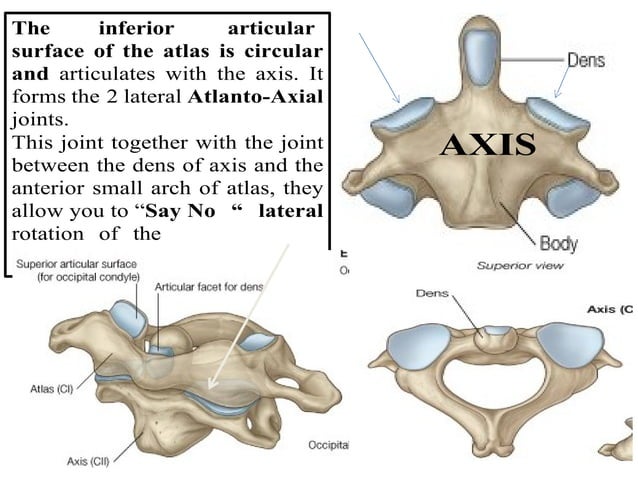 cervical spine mobilization manual therapy .pdf
