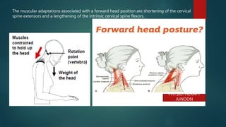 Cervical spine part 2 | PPT