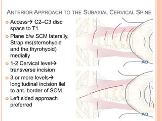 Cervical spine fracture radiology, classification and management | PPTX