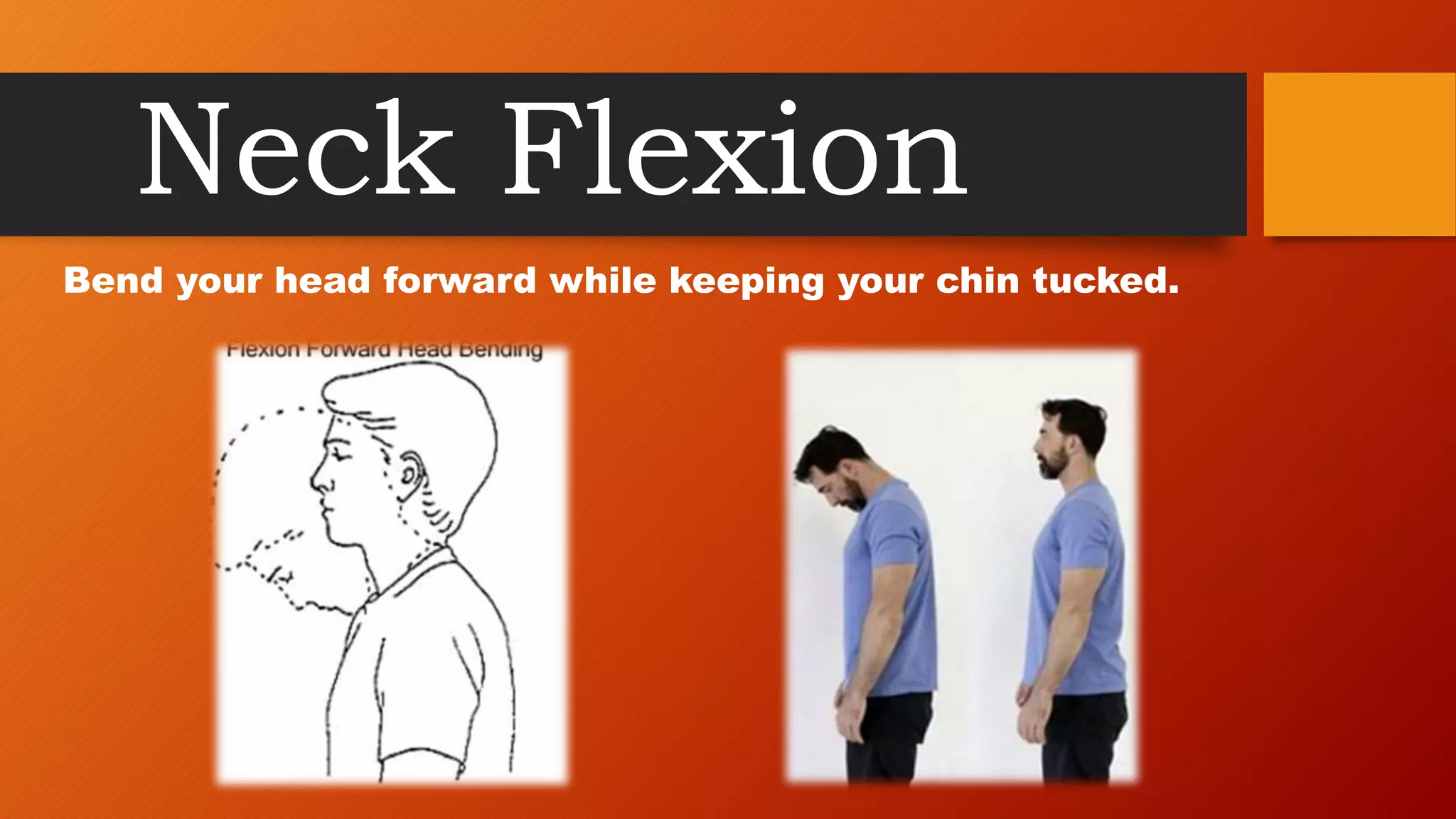 Cervical spine stretches | PPTX