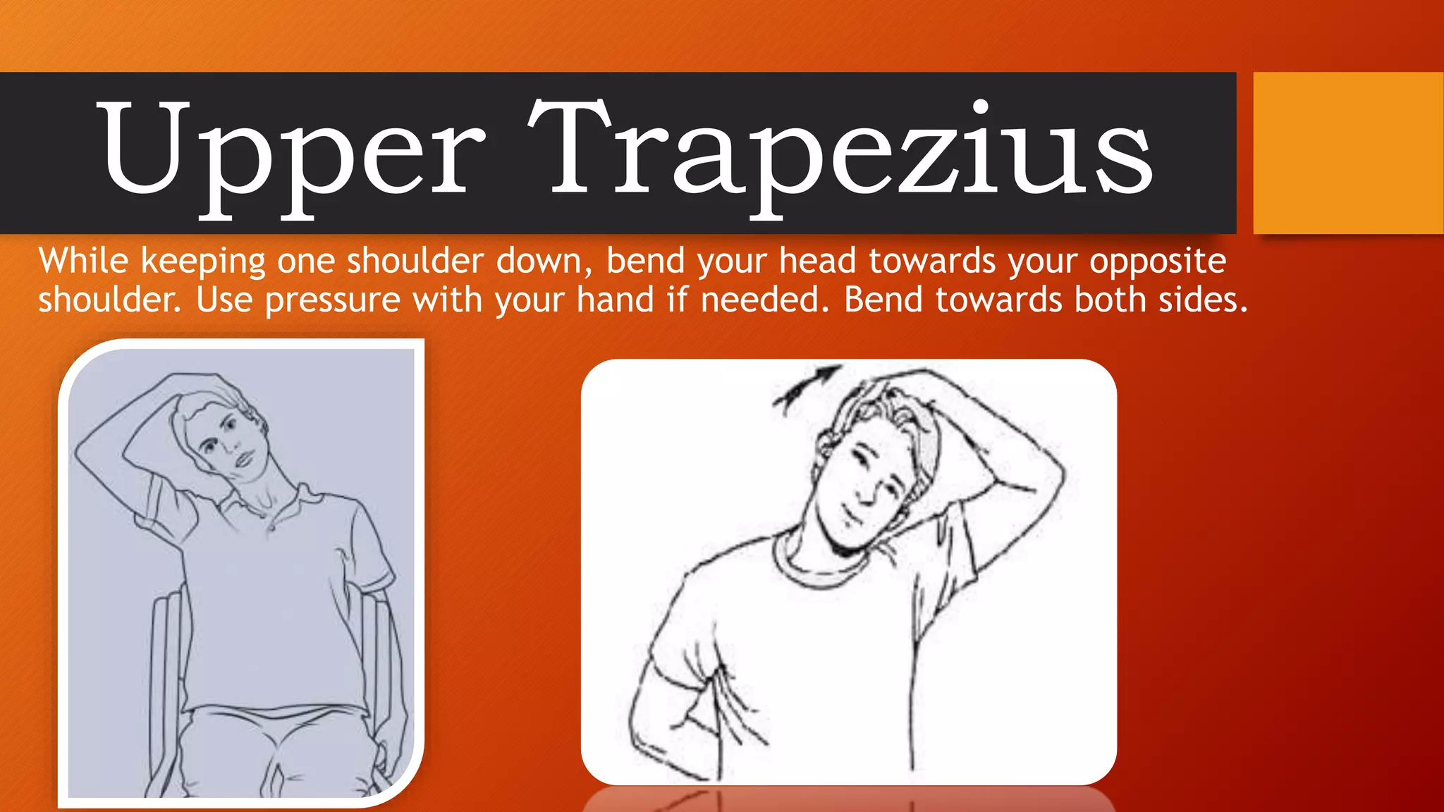 Cervical spine stretches | PPTX