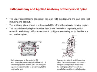 Cervical spine injuries - Upper nd Lower | PPTX
