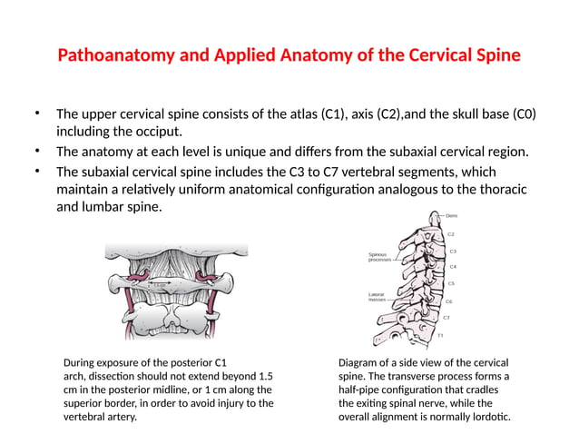 Cervical spine injuries - Upper nd Lower | PPTX | First Aid | Injuries