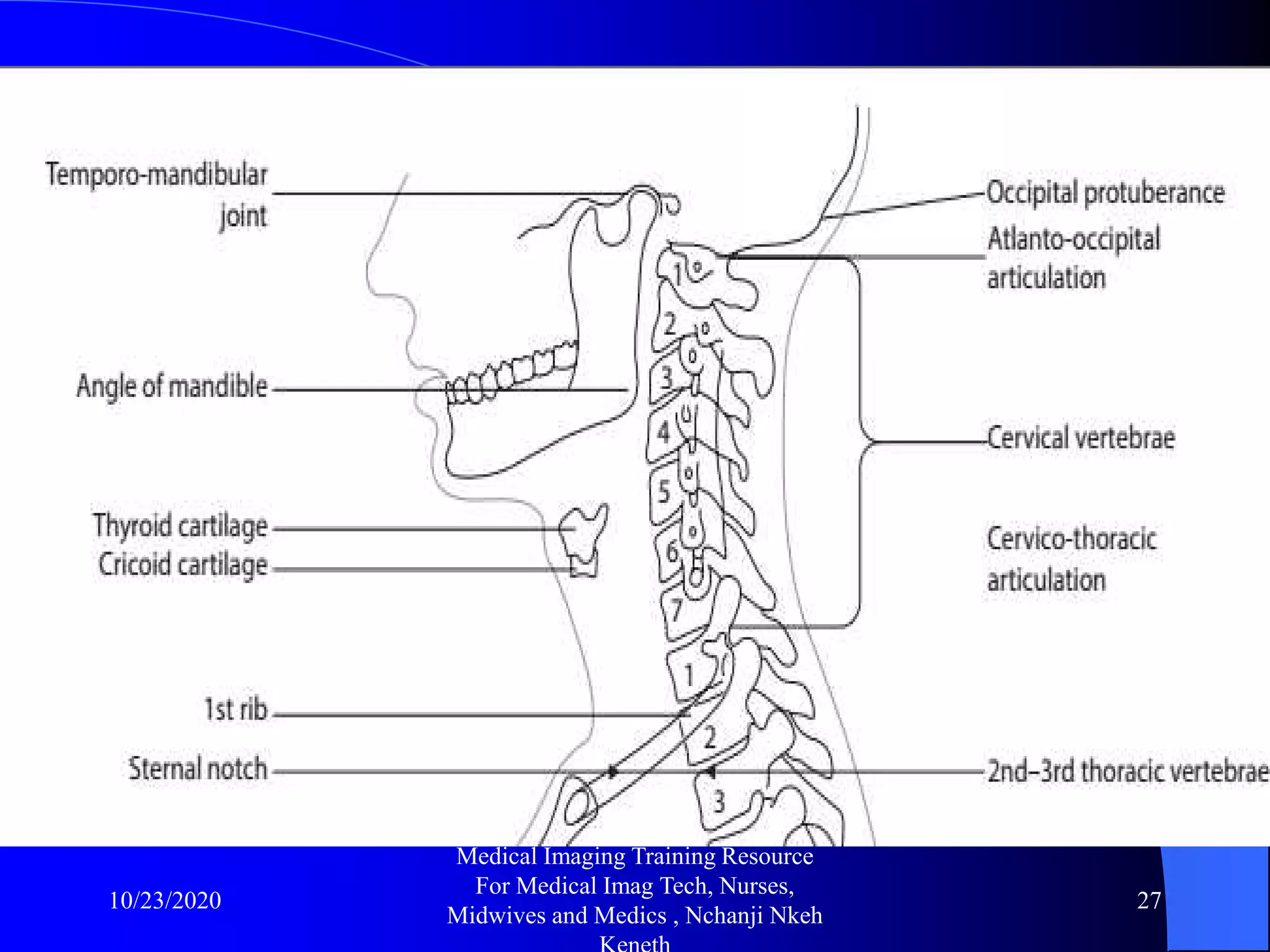 Cervical spine x ray and pathologies radiology training resource ...