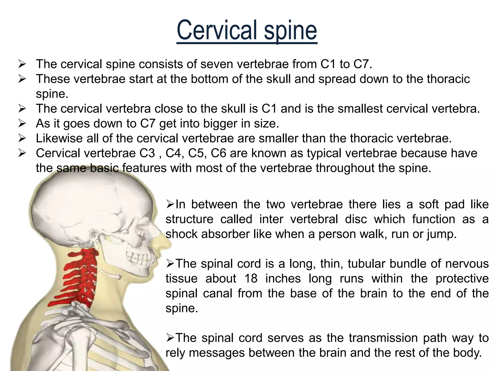 Best Homeopathic Medicines for Cervical spondylitis and neck pain | PPTX