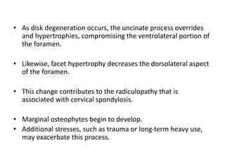 Cervical spondylosis | PPTX