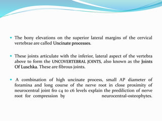 Cervical spondylosis | PPTX