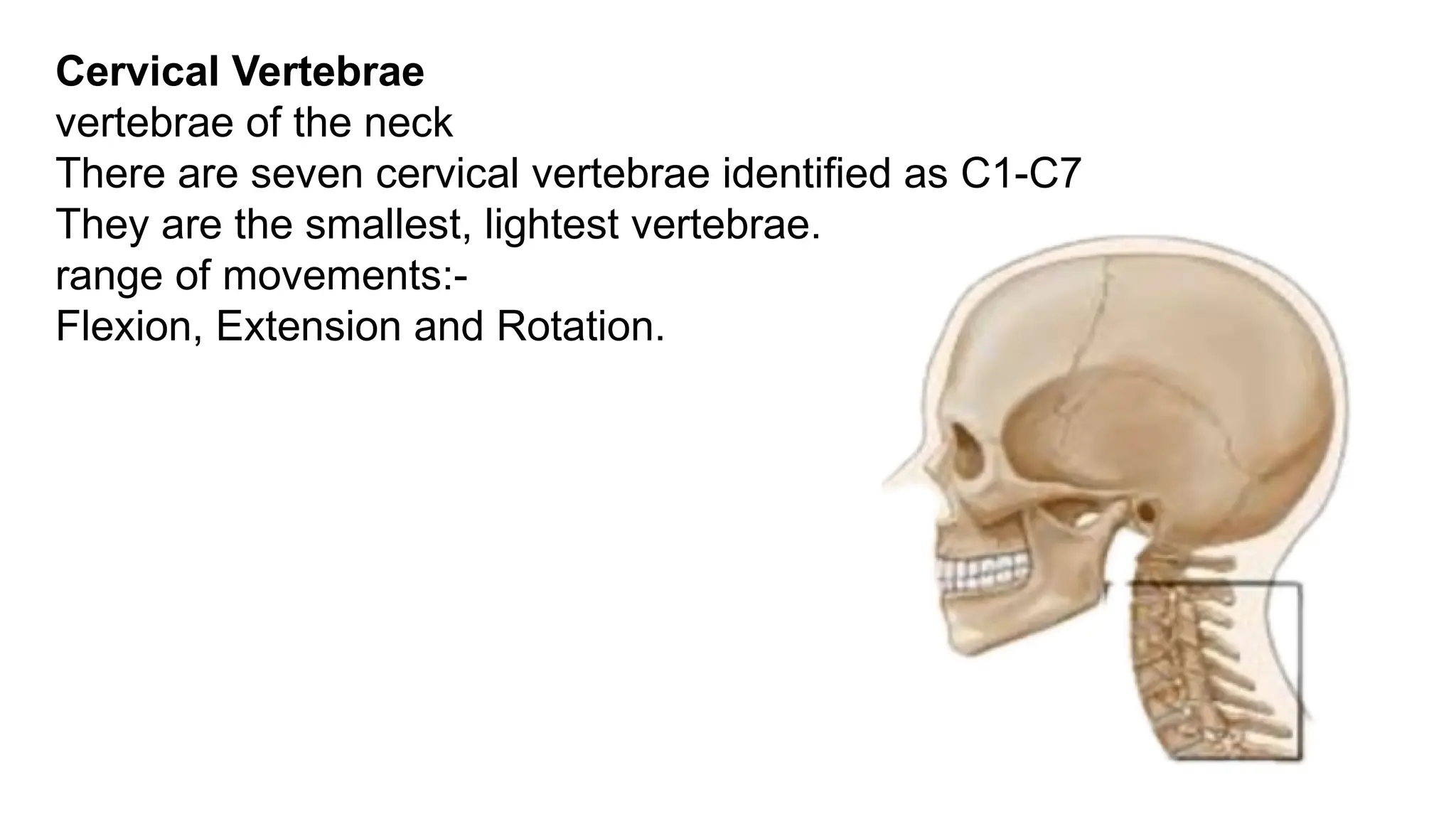 Cervical spondylosis Degenerative cervical spine | PPTX