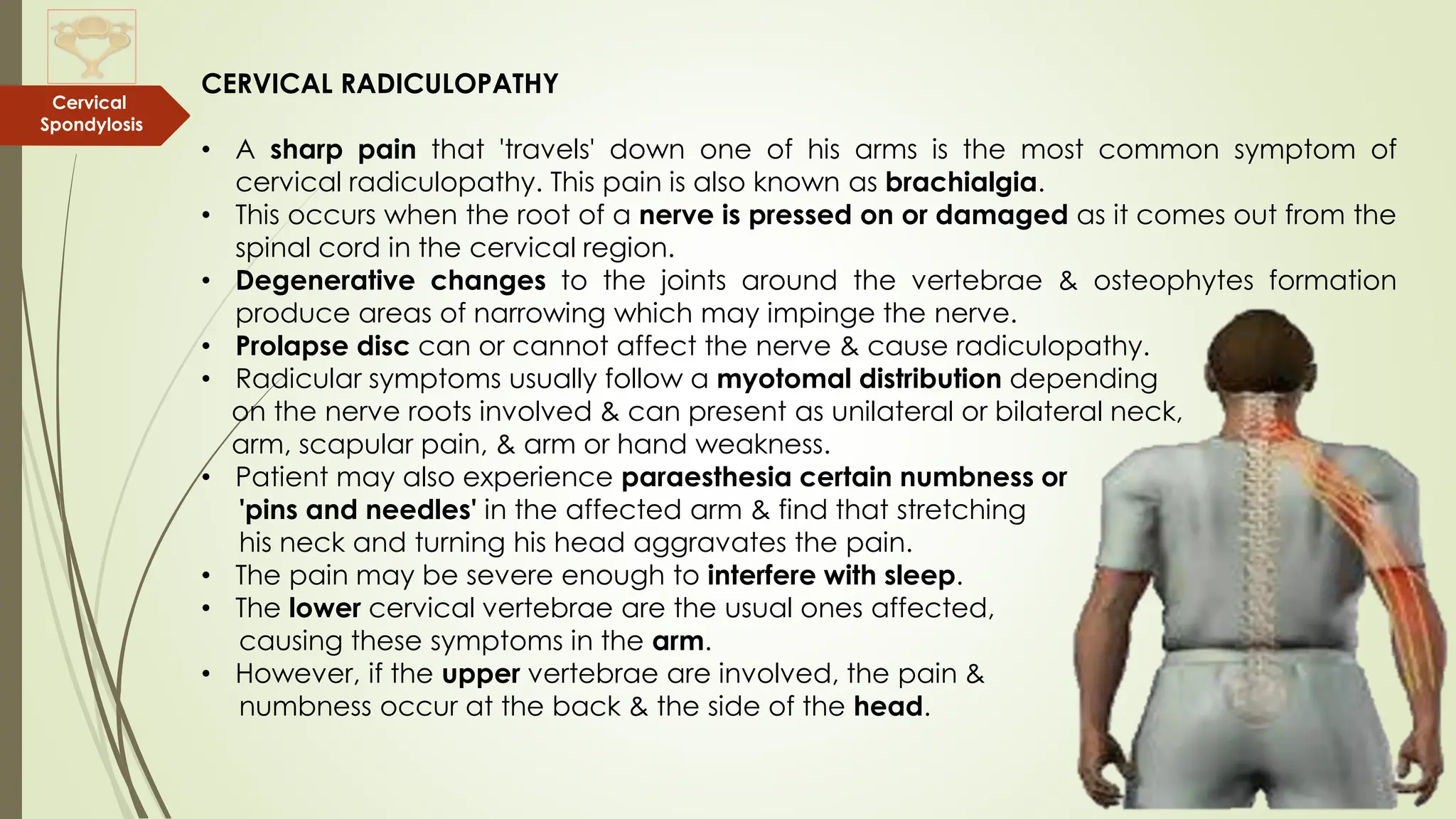 Cervical Spondylosis - An Overview of Degenerative Cervical Spine ...