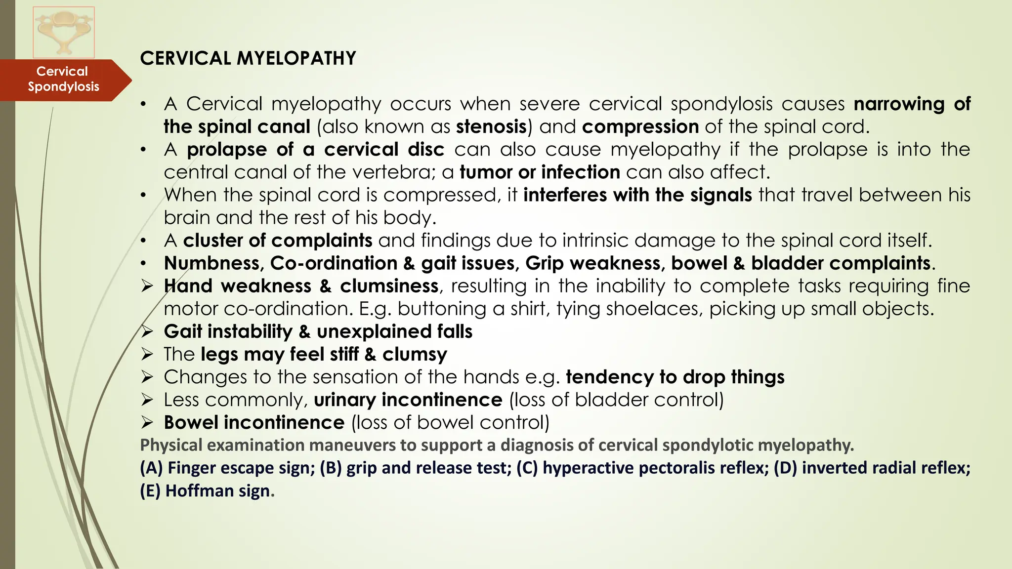 Cervical Spondylosis - An Overview of Degenerative Cervical Spine ...