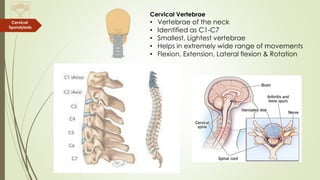 Cervical Spondylosis - An Overview of Degenerative Cervical Spine ...