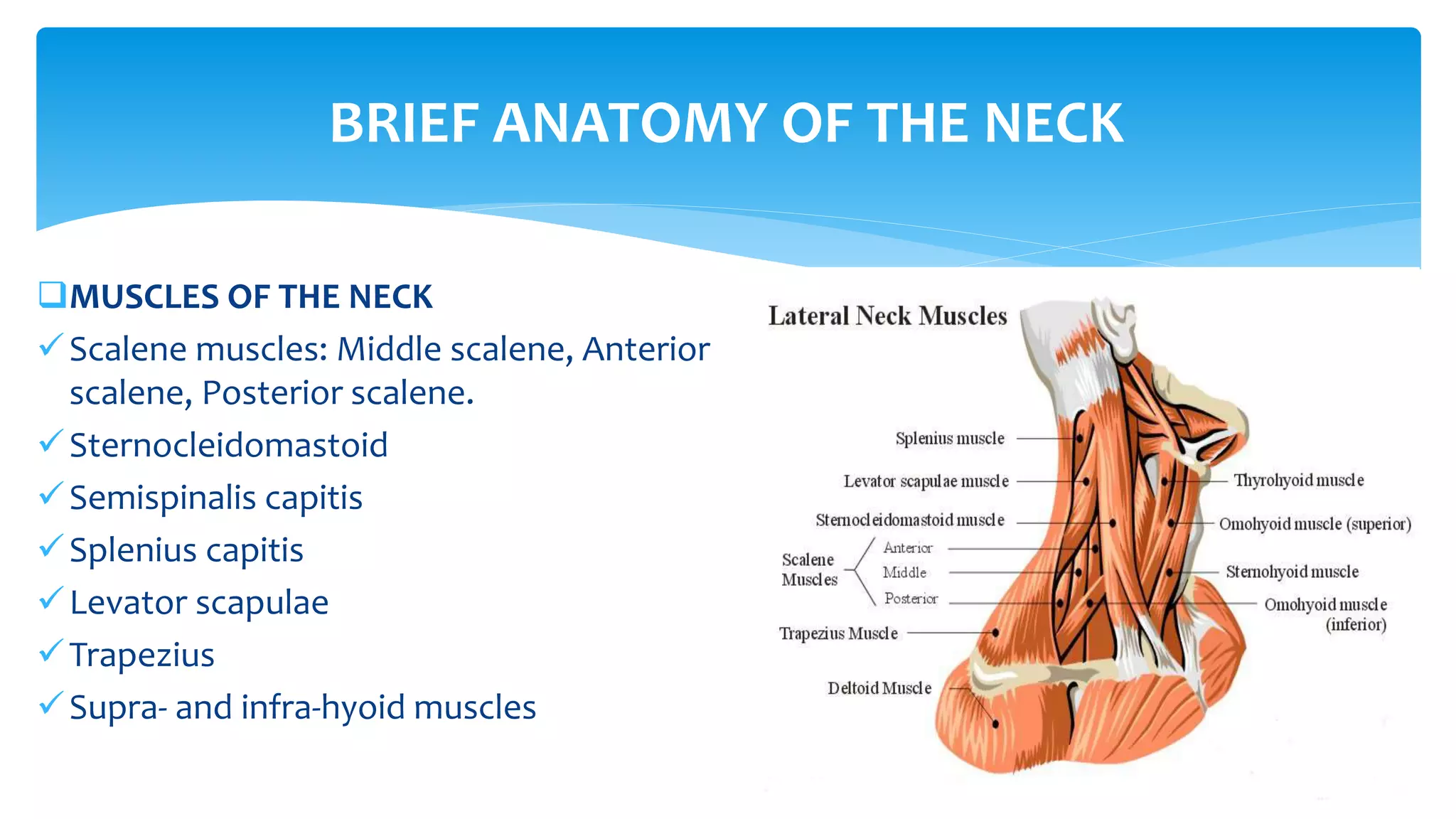 Cervical spondylosis philans cosmos ankrah | PPSX