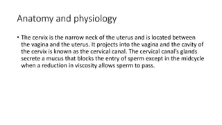 Cervical uterine smear (pap smear).pptx