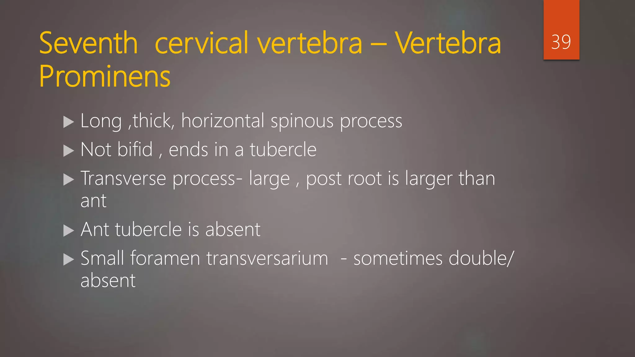 cervicalvertebra17-4-19-190528145645 (1).pdf