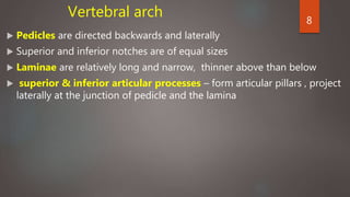 cervicalvertebra17-4-19-190528145645 (1).pdf