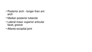 cervical vertebrae presentation by Dr Ela kinra | PPTX
