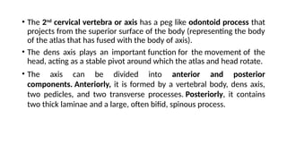 cervical vertebrae medical human anatomy.pptx