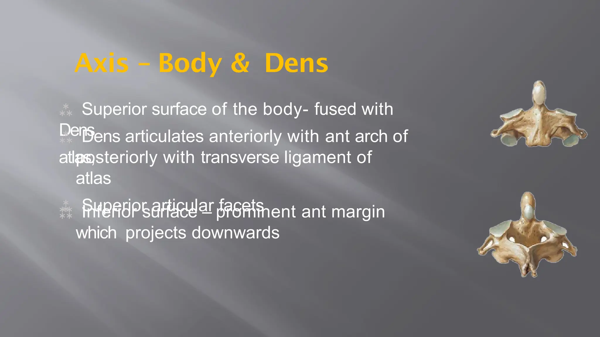 cervical vertebrae dr bushra.pptx ucmd anatomy | PPTX