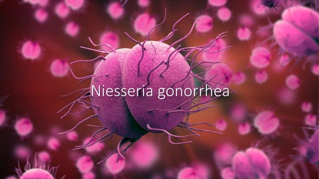 Cervicitis.pptx | Sexual Conditions | Sexual Health