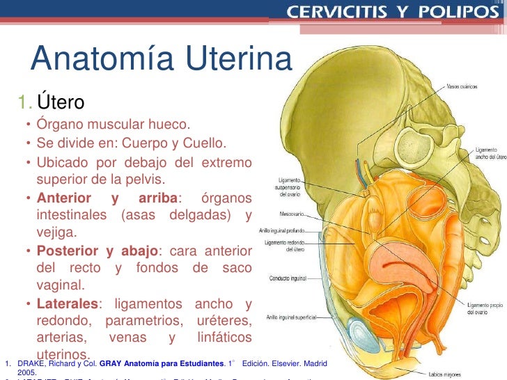 Cervicitis y polipos.ppt [reparado]