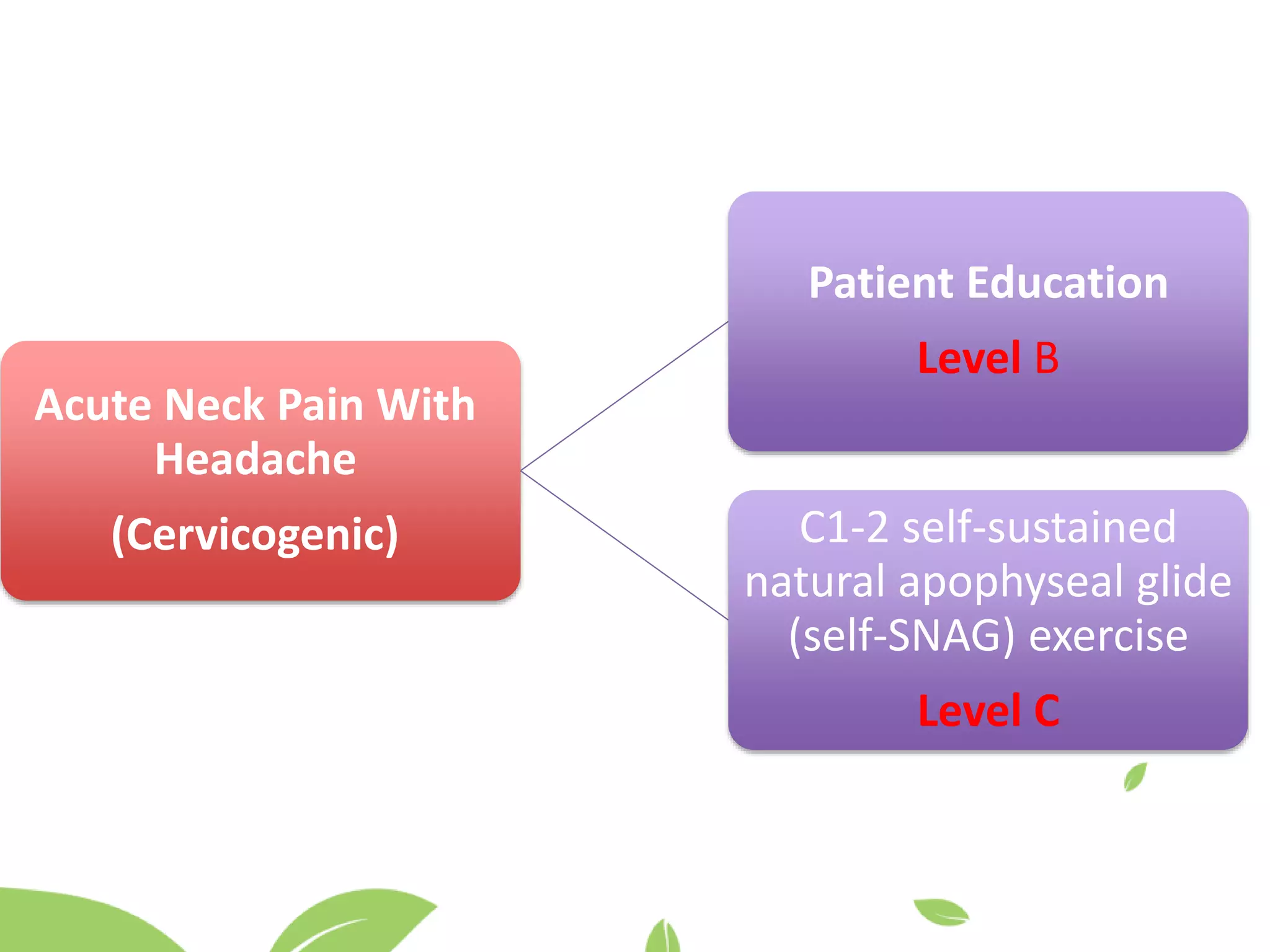 cervicogenic headache.pptx