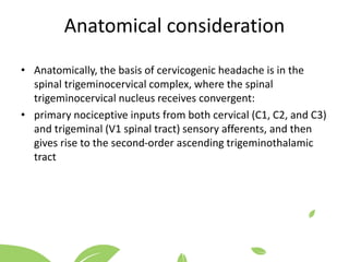 cervicogenic headache.pptx