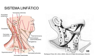Cervicotomia- cirugia de cabeza y cuello | PPTX