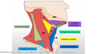 Cervicotomia- cirugia de cabeza y cuello | PPTX