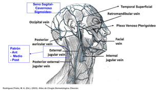 Cervicotomia- cirugia de cabeza y cuello | PPTX