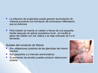 CERVICOVAGINITIS Y ENFS BENIGNAS DE LA VULVA | PPT