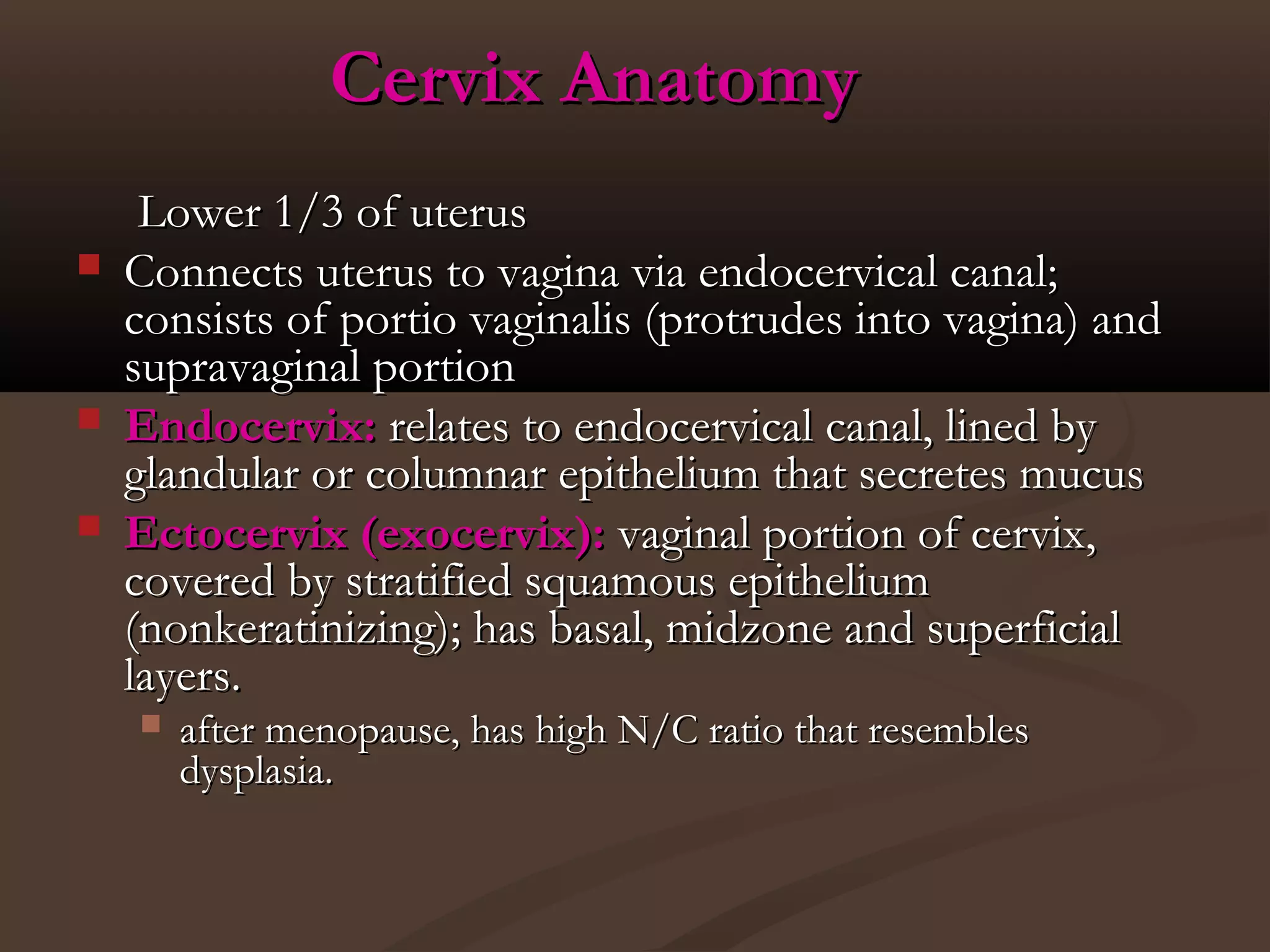 Pathology Of The Cervix Ppt